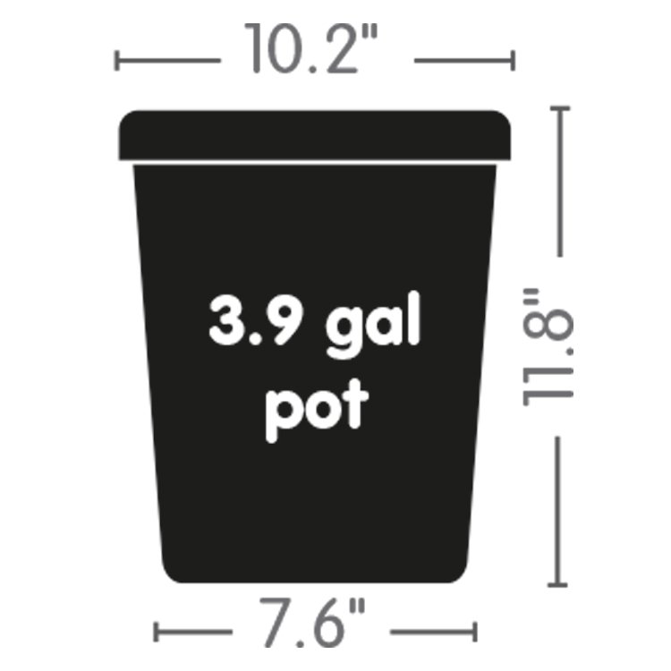 Auto8 3.9gal Pots - AutoPot Watering Systems USA